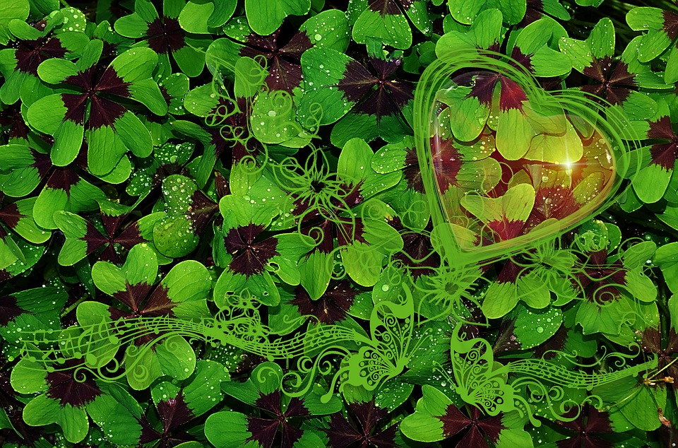 letra de snippet the perfect luv* - lil uzi vert - letras